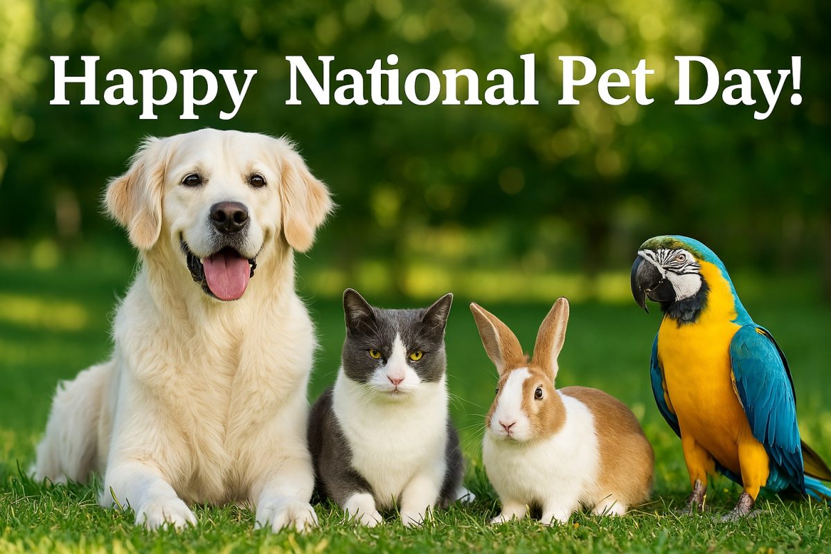 Happy National Pet Day: Celebrating the Fur-ever Friends That Steal Our ...