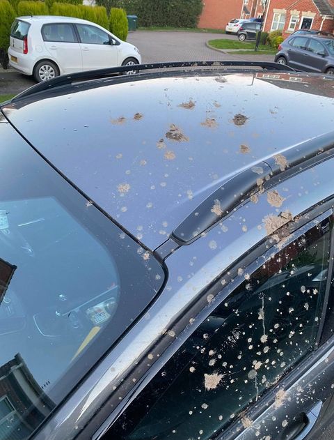 Vandals target cars belonging to Warwick Hospital staff forced to park ...